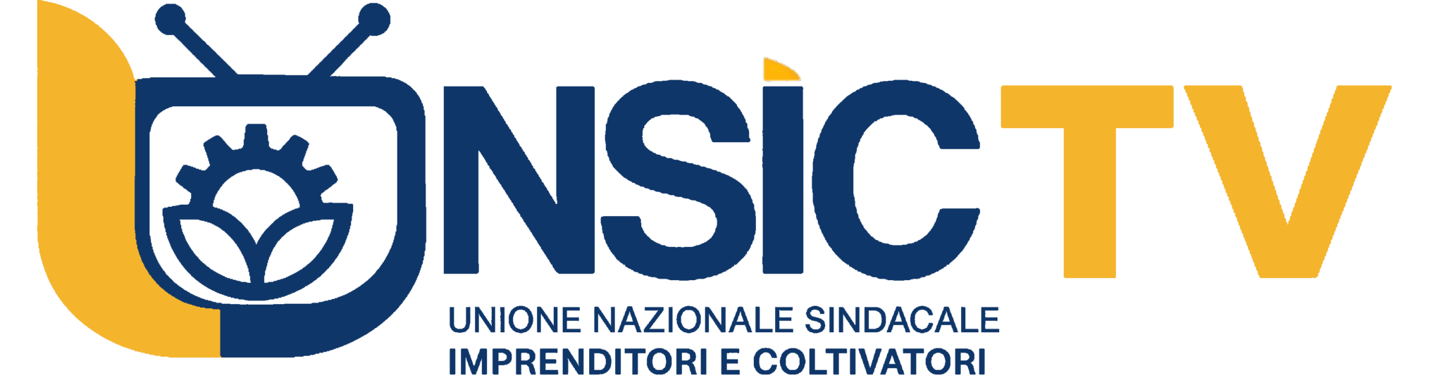 Assistenza Fiscale per Lavoratori e Pensionati | CAF UNSIC | Unsic Tv